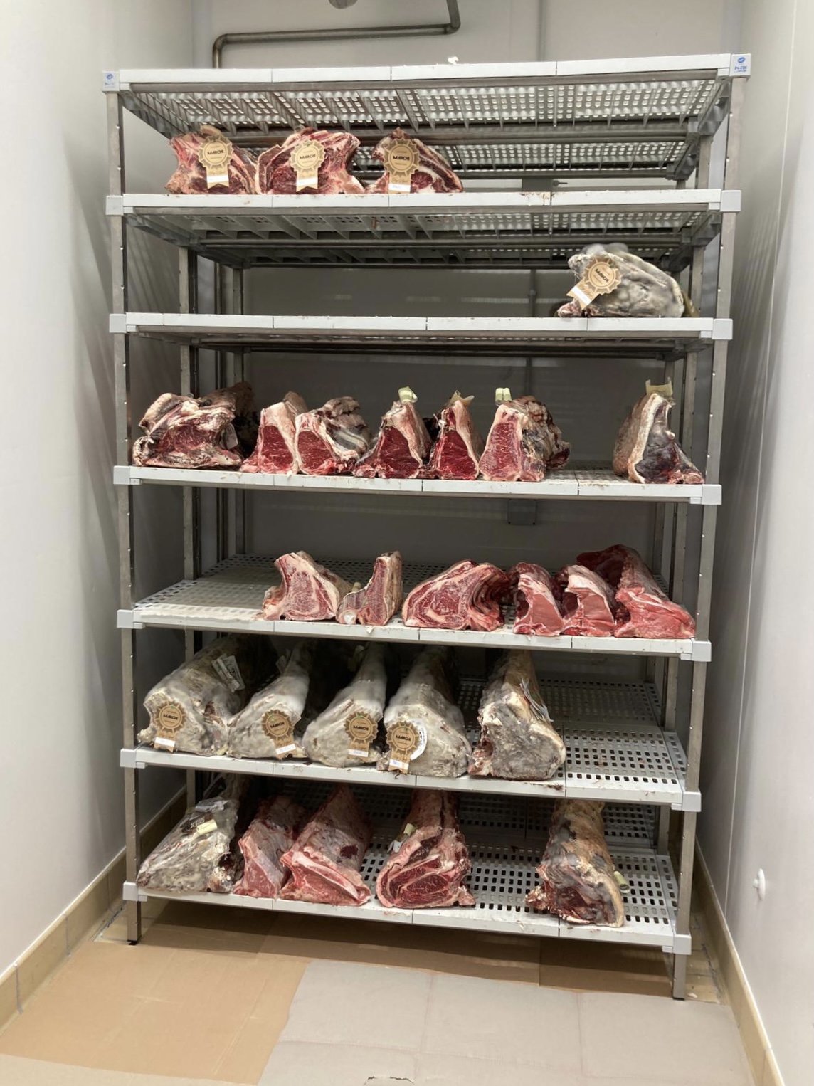 Visita all’azienda Marchi Spa – PSSG